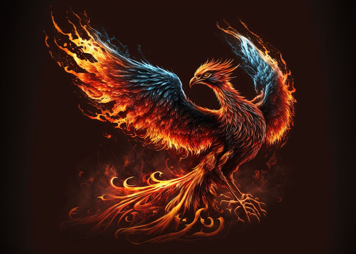 'Phoenix Bird' Poster, picture, metal print, paint by Bailey DHeath ...