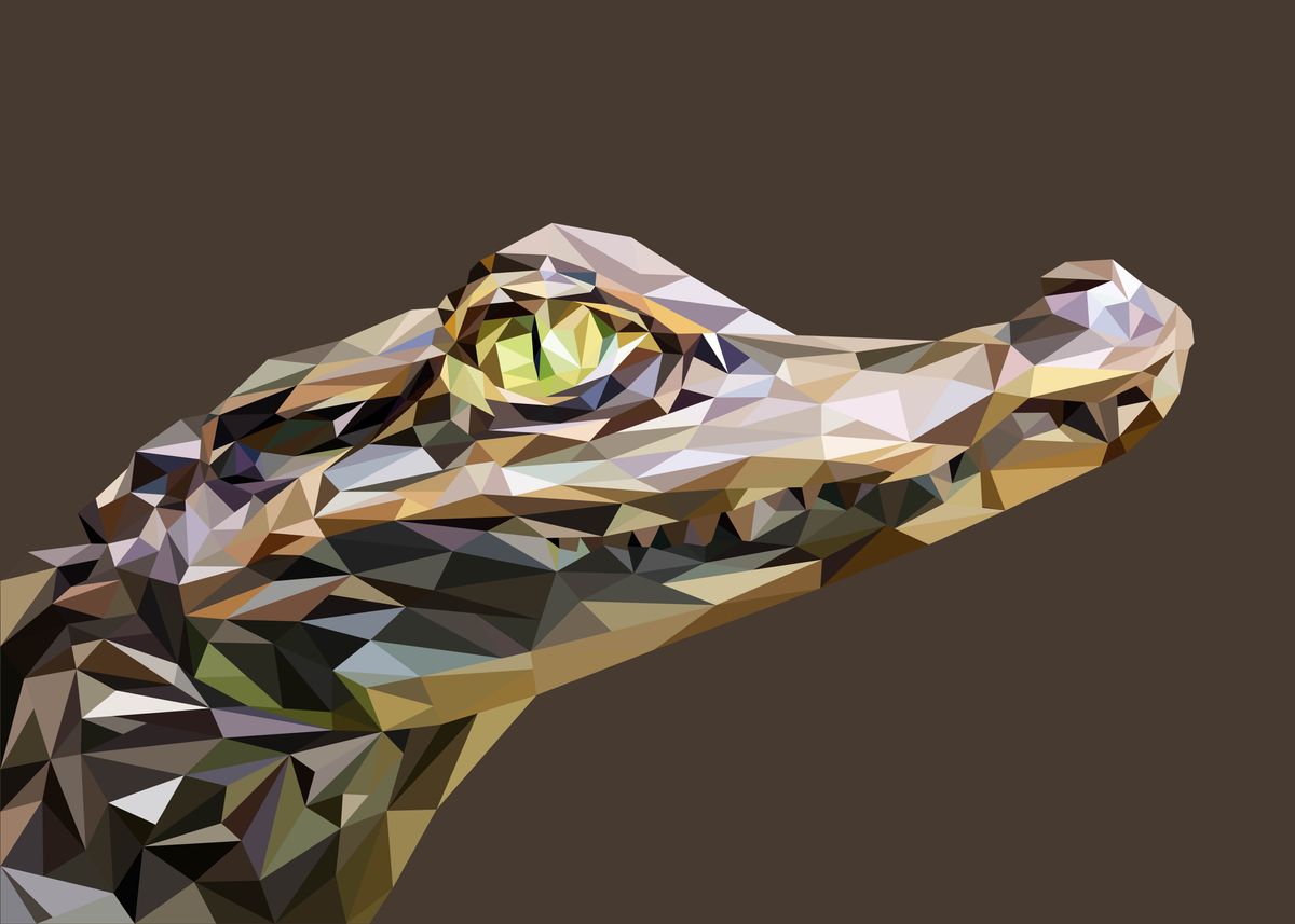 'Crocodile' Poster, picture, metal print, paint by Poster Collections ...