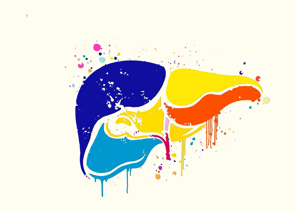 'Liver Anatomy' Poster, picture, metal print, paint by Dutton Jerrell ...