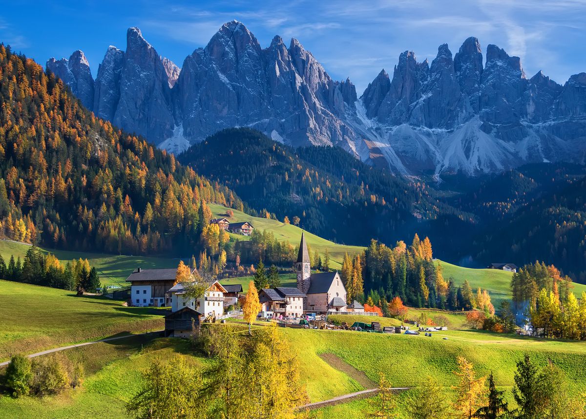 'Natures' Poster, picture, metal print, paint by adamDa adam | Displate