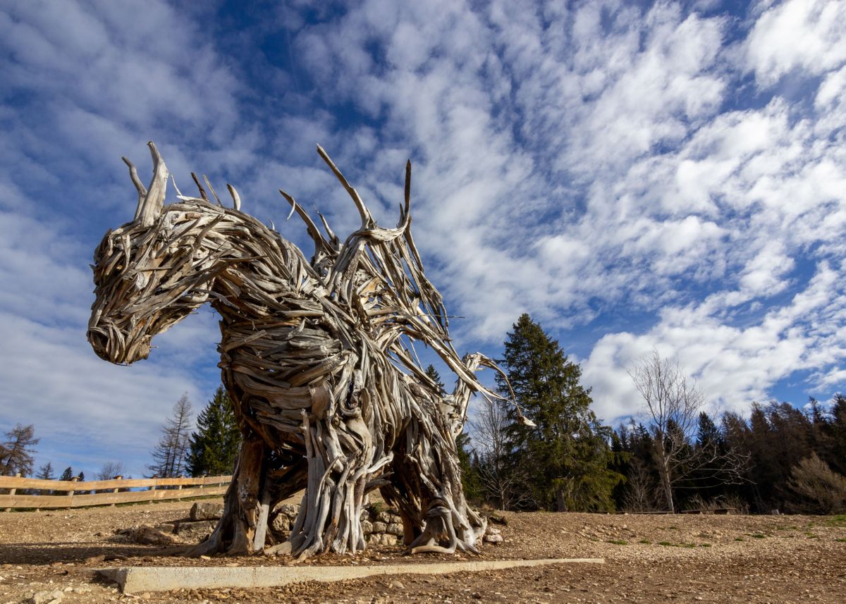 'Drago di Vaia 7' Poster, picture, metal print, paint by Matteo Franzi ...