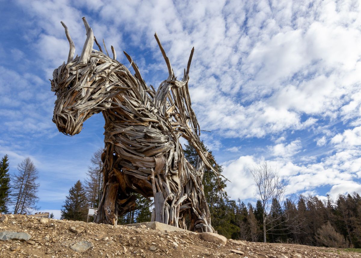 'Drago di Vaia 6' Poster by Matteo Franzi | Displate