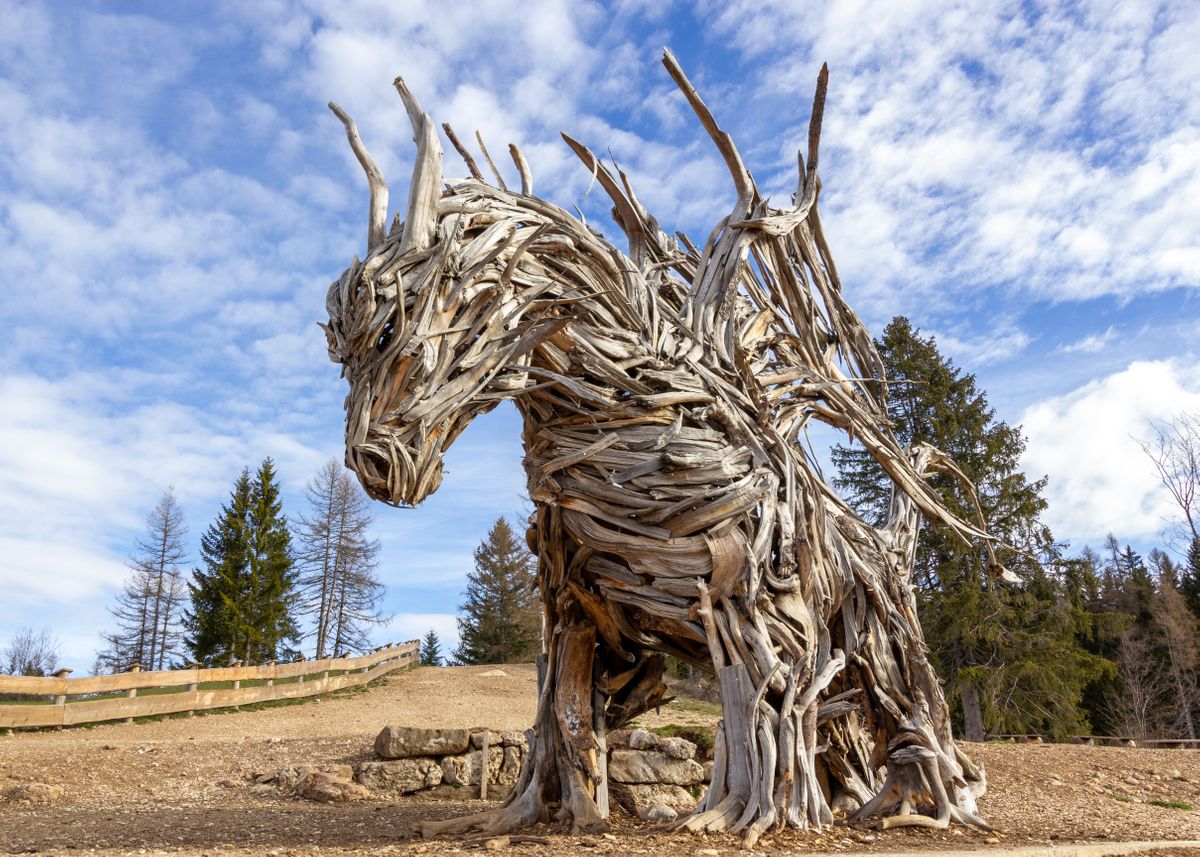 'Drago di Vaia 8' Poster by Matteo Franzi | Displate