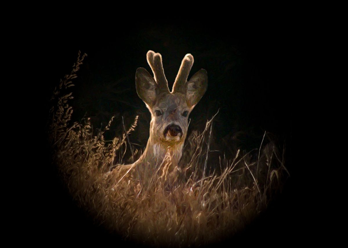 'Roebuck' Poster, picture, metal print, paint by Gyula Gvardián | Displate