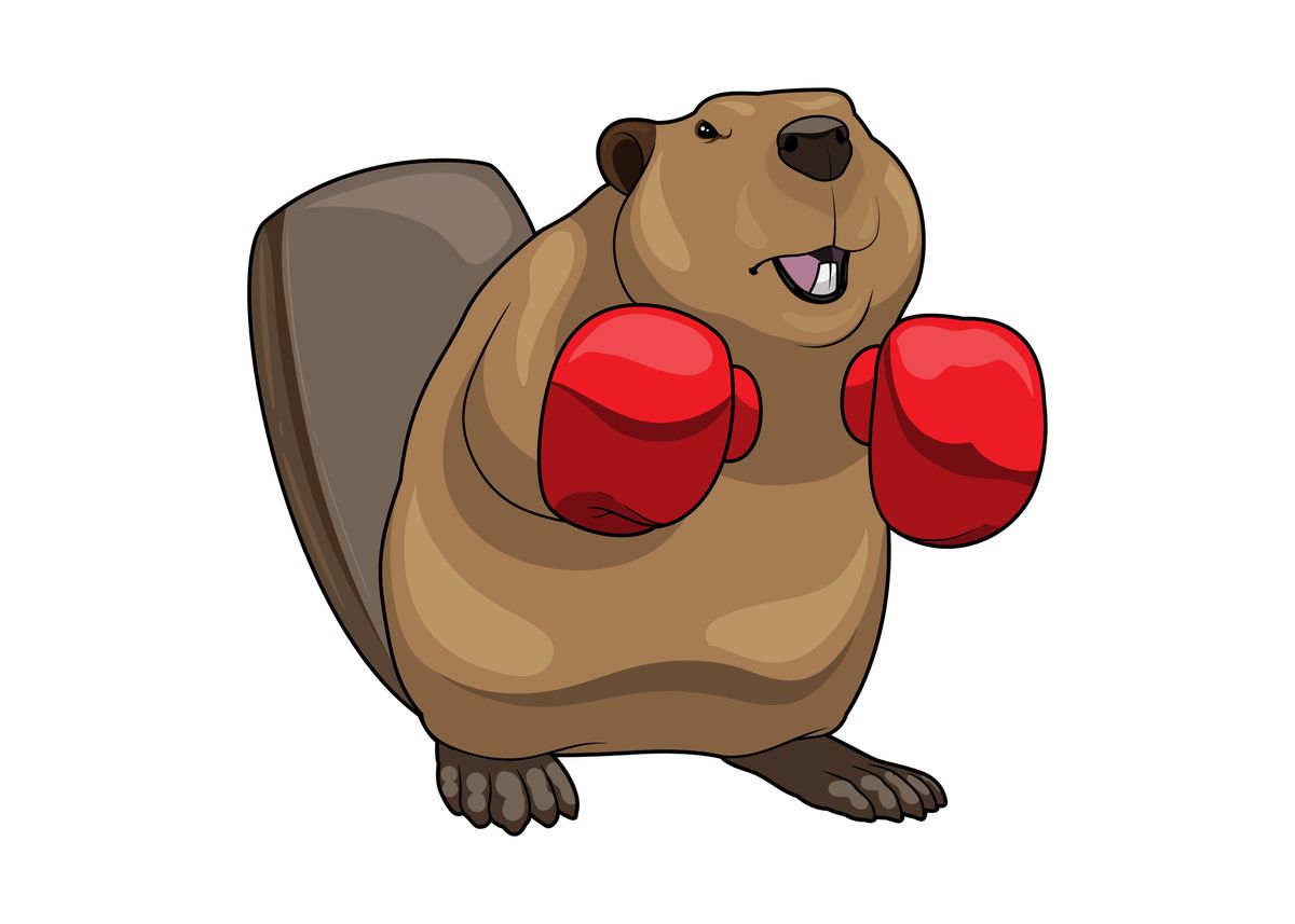 'Beaver Boxer Boxing gloves' Poster, picture, metal print, paint by ...