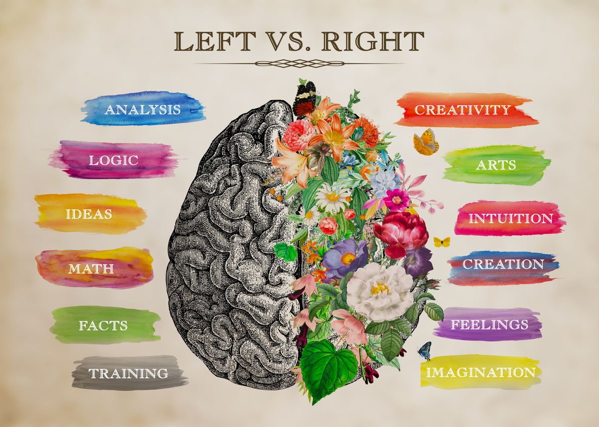'Left Versus Right Brain' Poster, picture, metal print, paint by Aged ...