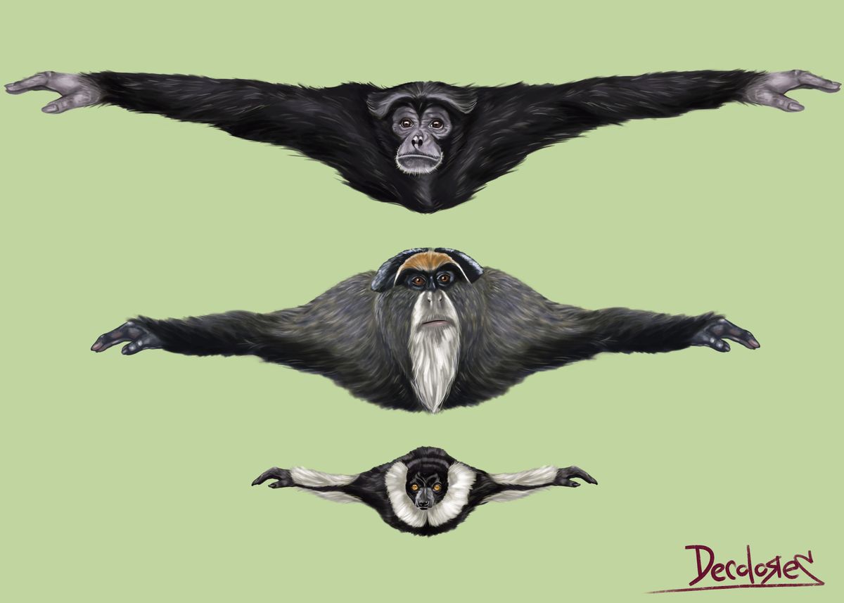 'Ape arm length' Poster, picture, metal print, paint by Sara DeColores ...
