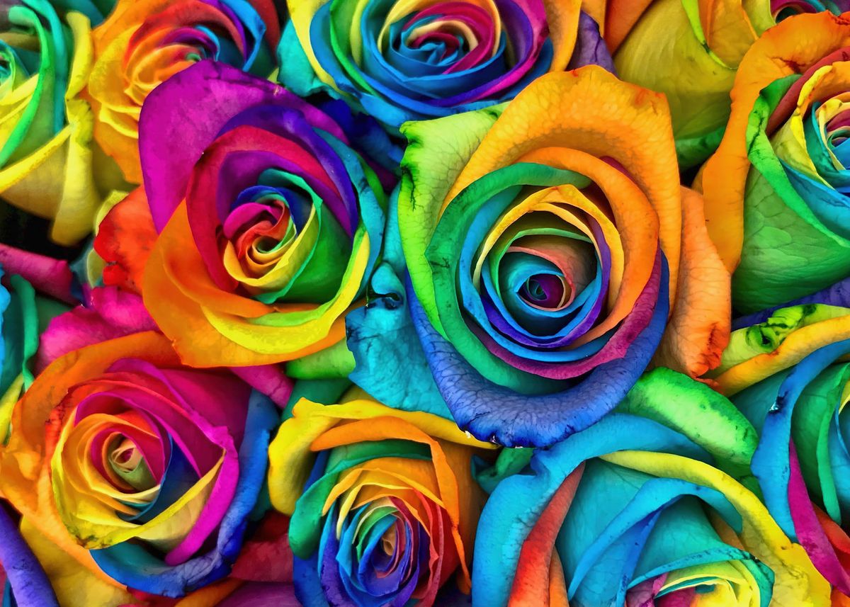 'Retro Roses' Poster, picture, metal print, paint by Robert Design ...