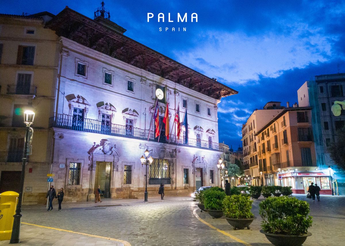 'Palma ' Poster, picture, metal print, paint by Big City | Displate