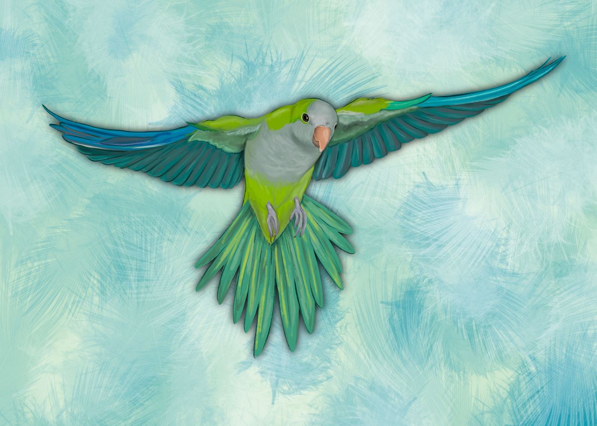 'Flying quaker parrot' Poster, picture, metal print, paint by Bianca ...