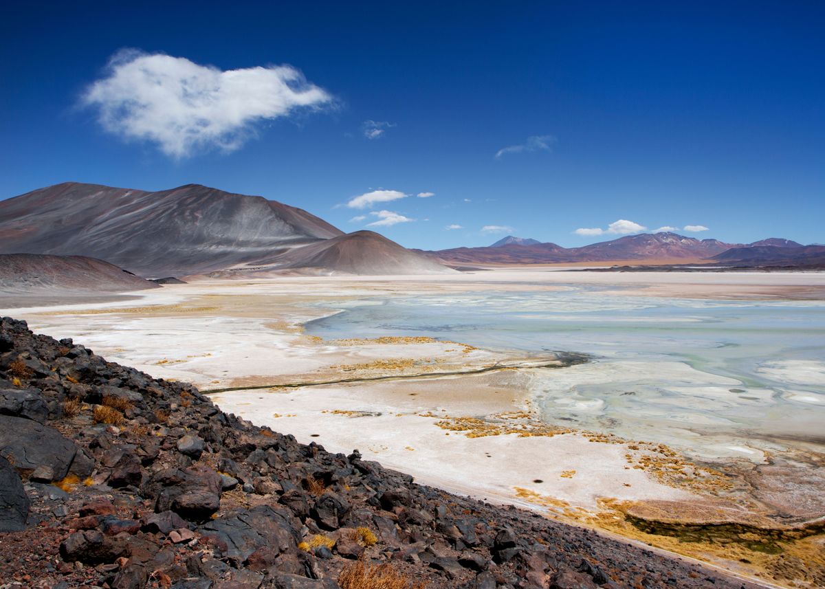 'Atacama Salt Lake' Poster, picture, metal print, paint by David Hare ...