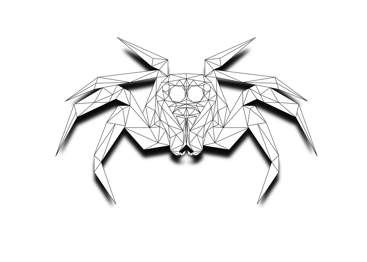 'Spider Lowpoly Wireframe' Poster, picture, metal print, paint by Evanz ...