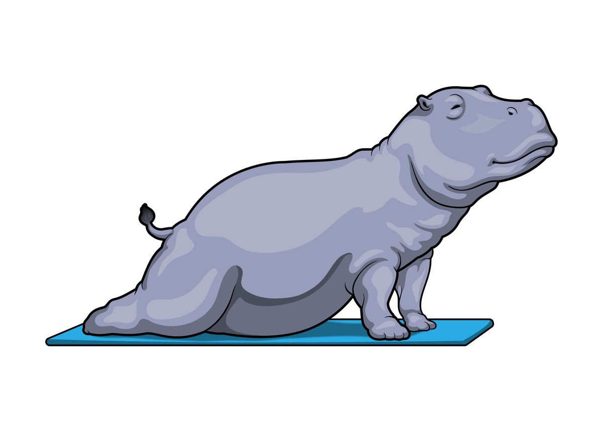 'Hippo Yoga Fitness' Poster, picture, metal print, paint by Markus ...
