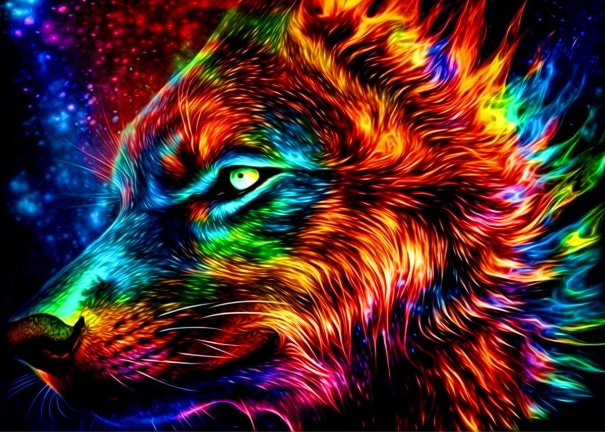 'Colorful Wolf' Poster, picture, metal print, paint by vincen pham ...