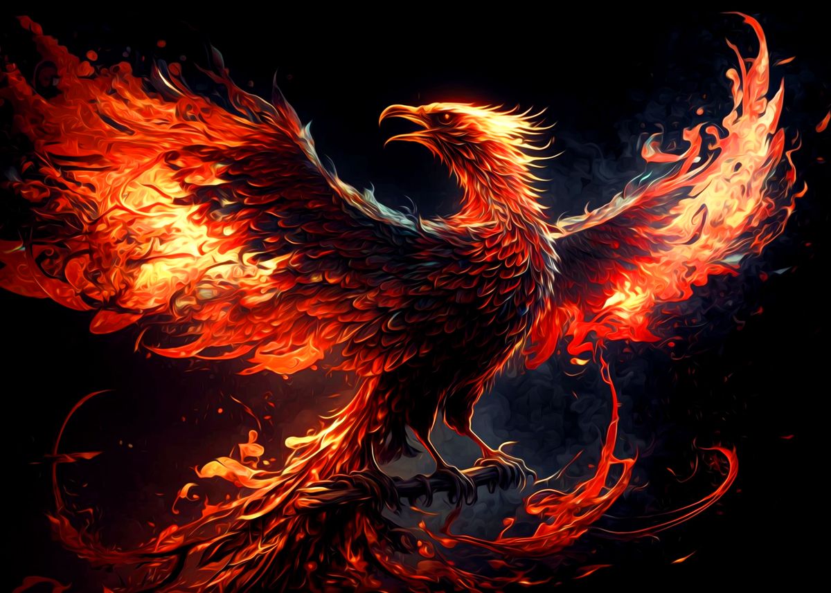 'Colorful Phoenix' Poster, picture, metal print, paint by Kante Dino ...