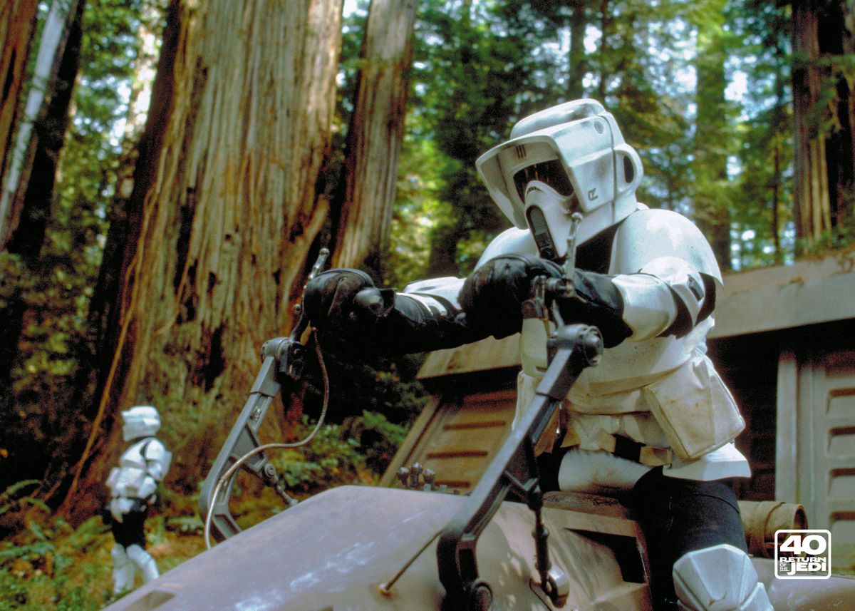 'Recon Trooper 2' Poster, picture, metal print, paint by Star Wars ...