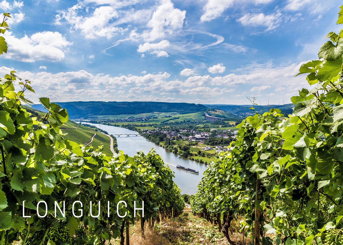 'Longuich Moselle Vineyard' Poster by Nils | Displate
