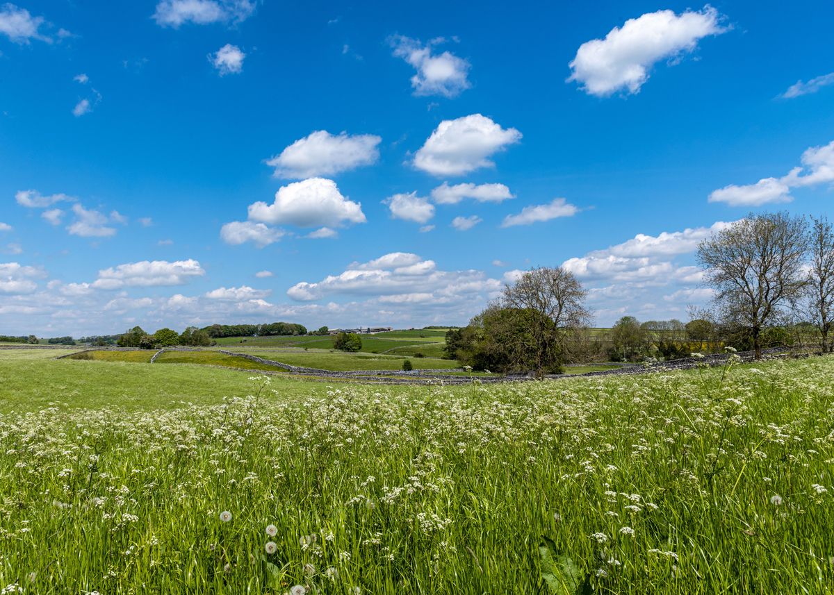 'Spring Countryside Scene' Poster, picture, metal print, paint by ...