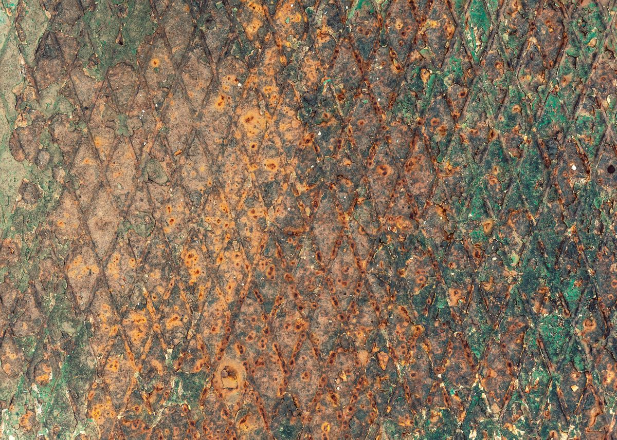 'Rust mold green brown patt' Poster, picture, metal print, paint by ...