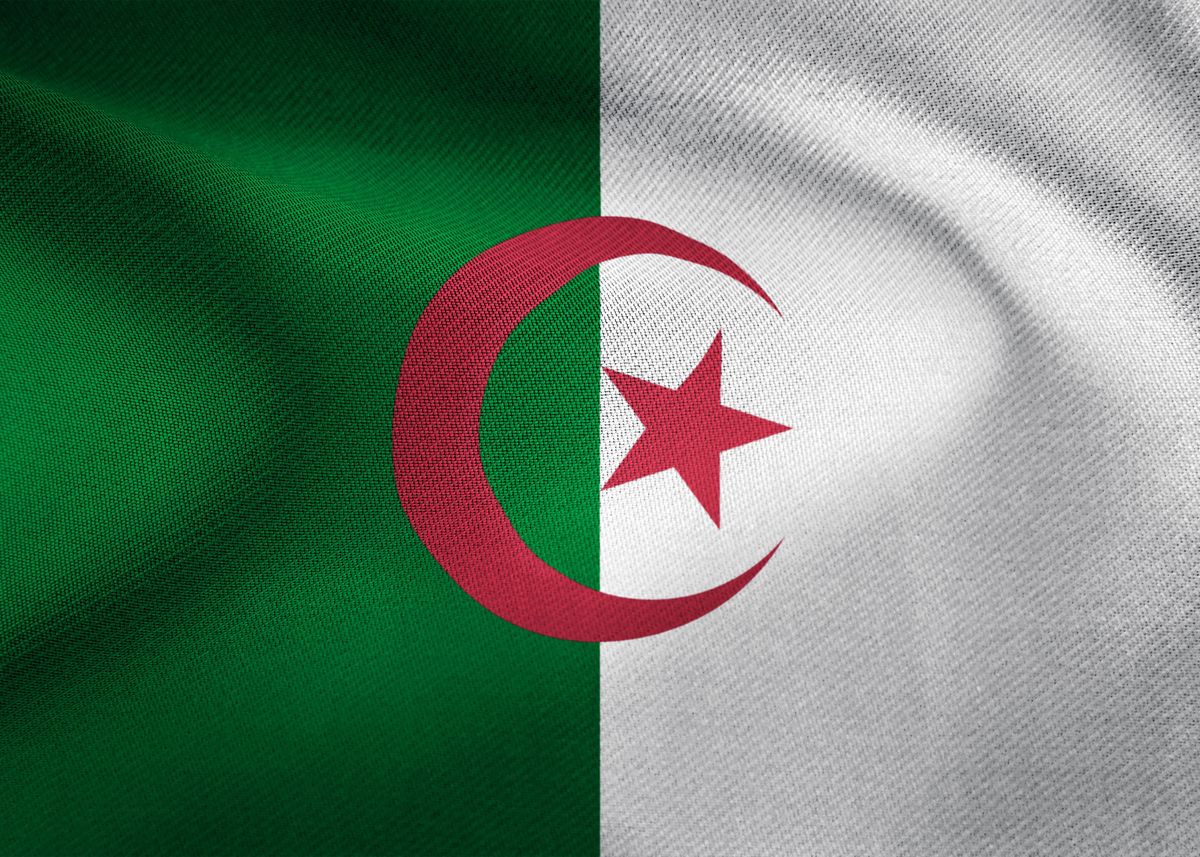 'algeria algerian flag dz' Poster, picture, metal print, paint by Adel ...