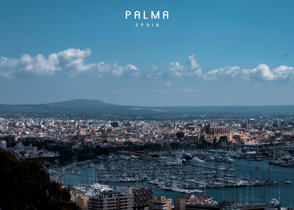 'Palma ' Poster, picture, metal print, paint by Big City | Displate