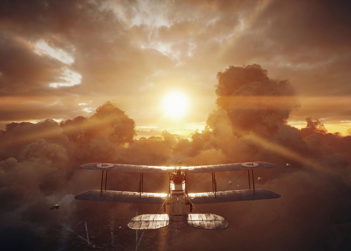 'Plane' Poster, picture, metal print, paint by One Piece Top Gun | Displate