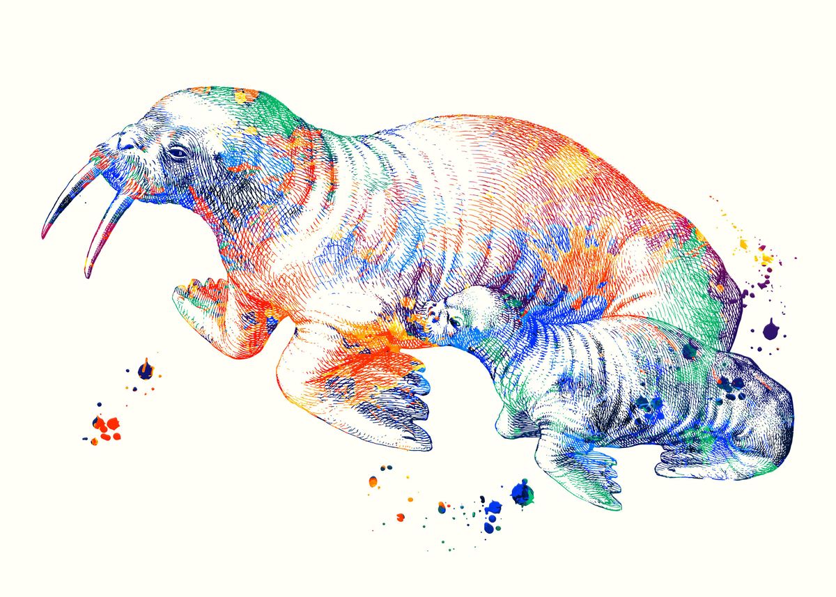 'Walrus' Poster, picture, metal print, paint by Morgan Moorhead | Displate