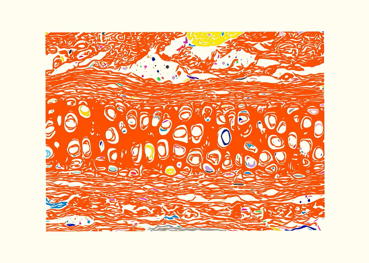 'Cartilage Bone' Poster, picture, metal print, paint by Dutton Jerrell | Displate