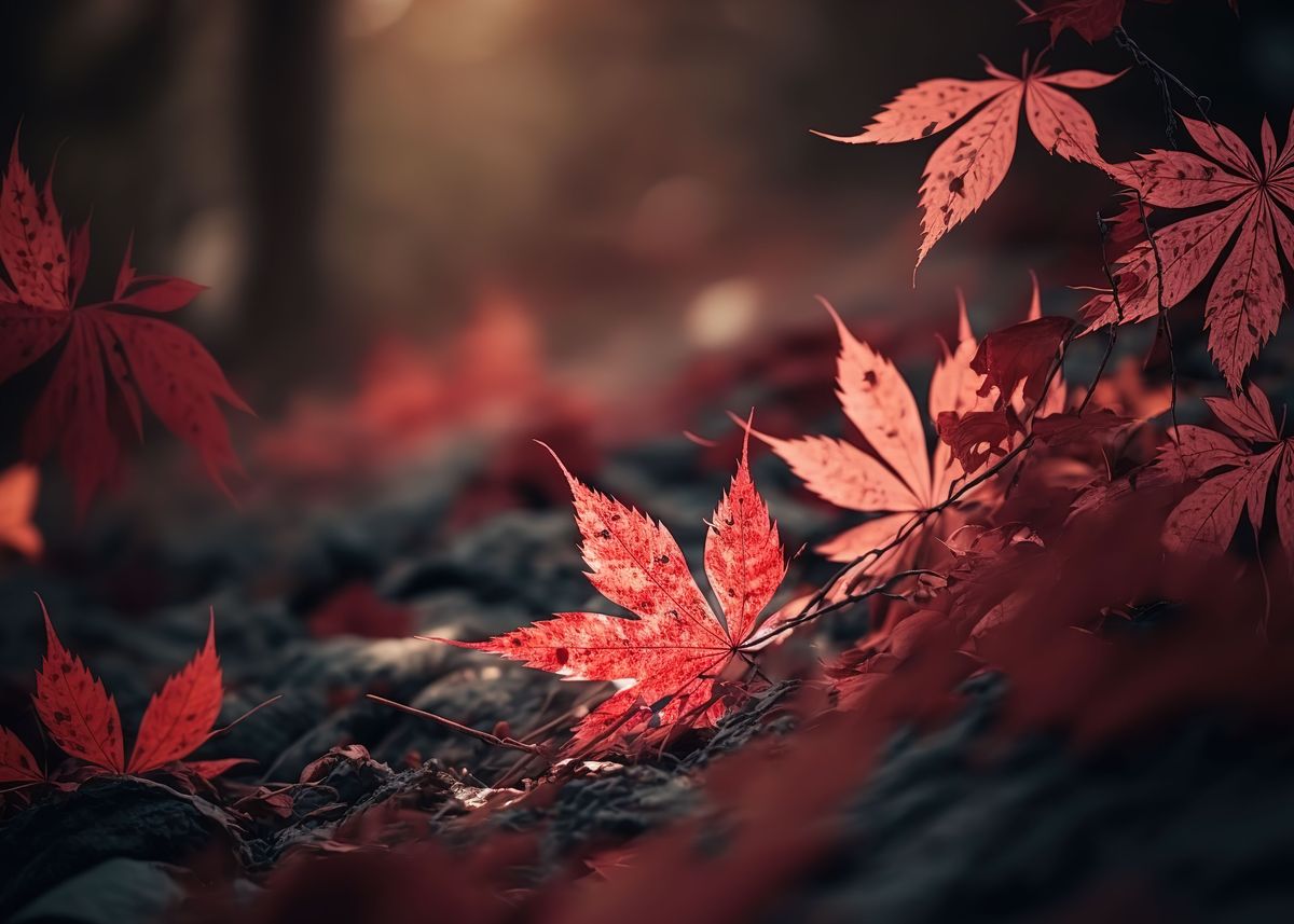 'autumn leaves ' Poster, picture, metal print, paint by Silhouette ...