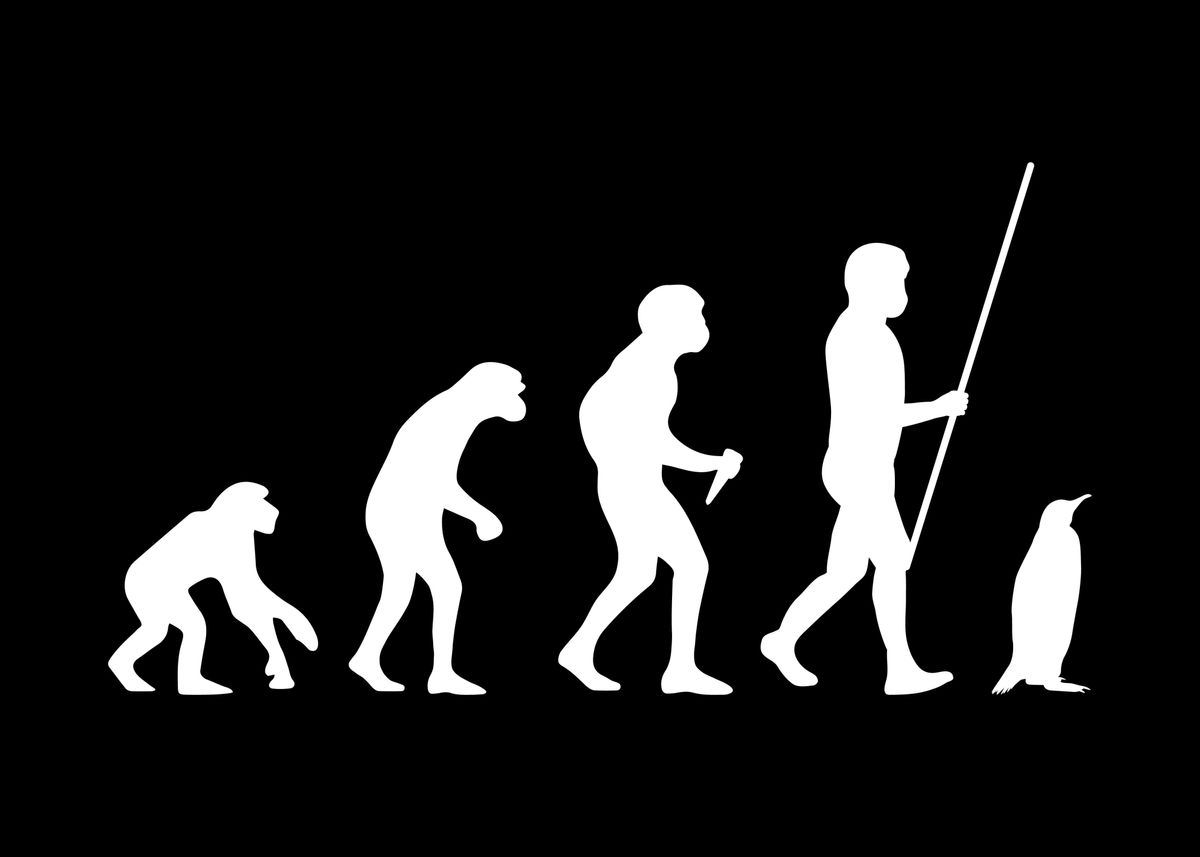'Penguin Evolution' Poster, picture, metal print, paint by ninarts ...