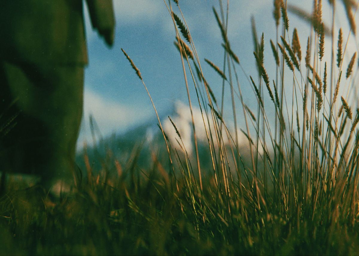 'Beautiful Mountain Scene 2' Poster, picture, metal print, paint by ...