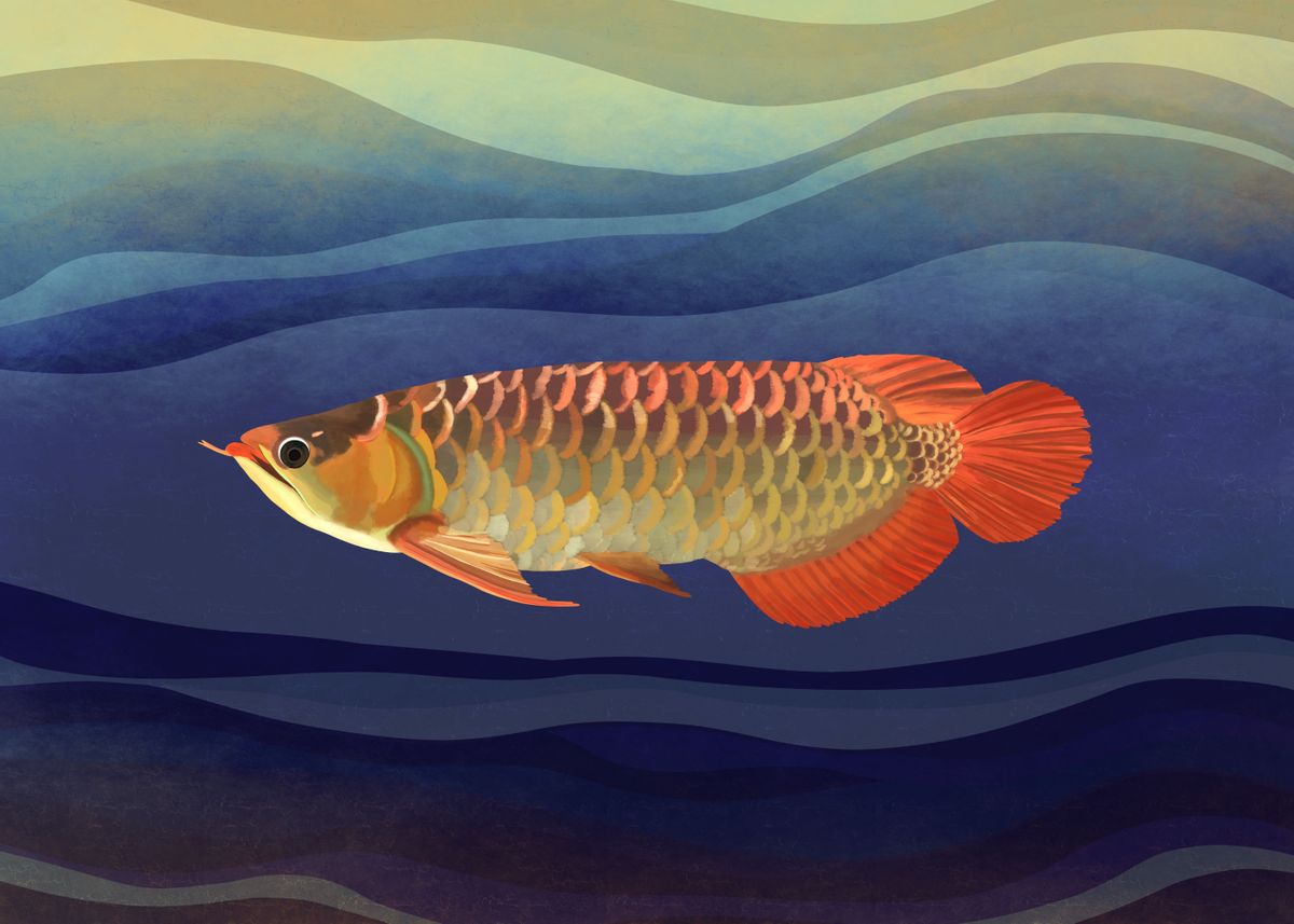 'Orange Arowana Dragon Fish' Poster by Sunette Shepperson | Displate