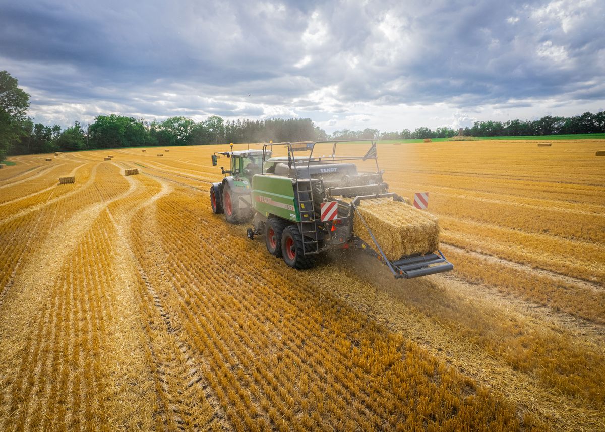 'Farming cubes' Poster, picture, metal print, paint by Eric Waldvogel ...