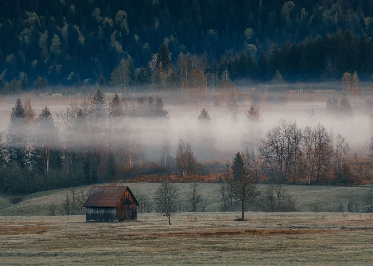 'Fog in the Marsh' Poster, picture, metal print, paint by Marcel Bisig ...