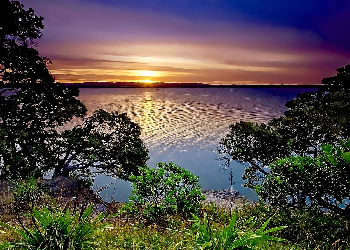 'nature view' Poster, picture, metal print, paint by titan armor | Displate