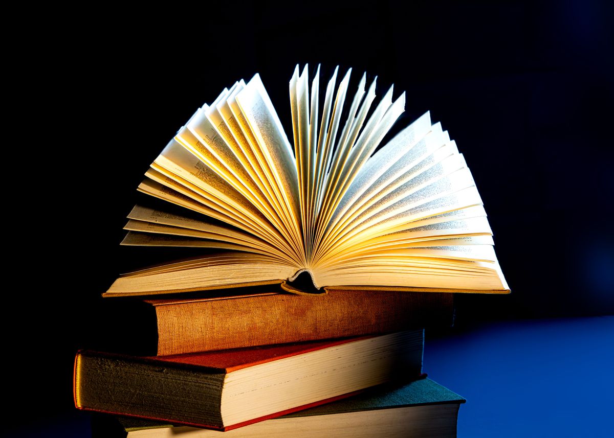 'Many Books' Poster, picture, metal print, paint by Christiane ...