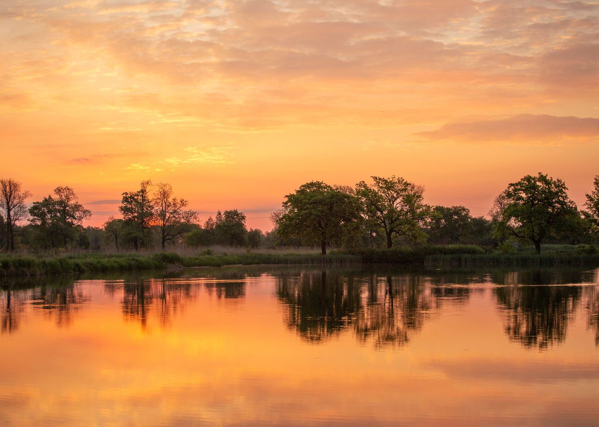 'Spring sunrise' Poster, picture, metal print, paint by Mycatherina ...