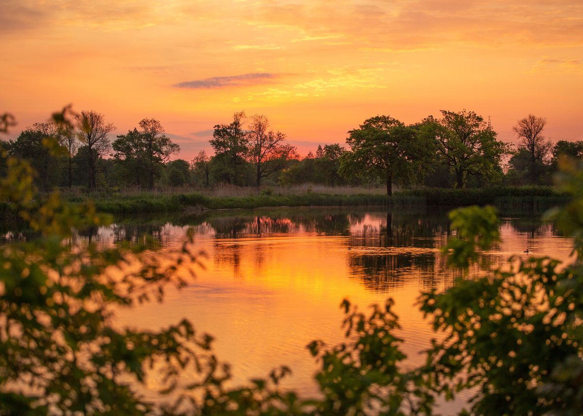 'Spring sunrise' Poster, picture, metal print, paint by Mycatherina ...