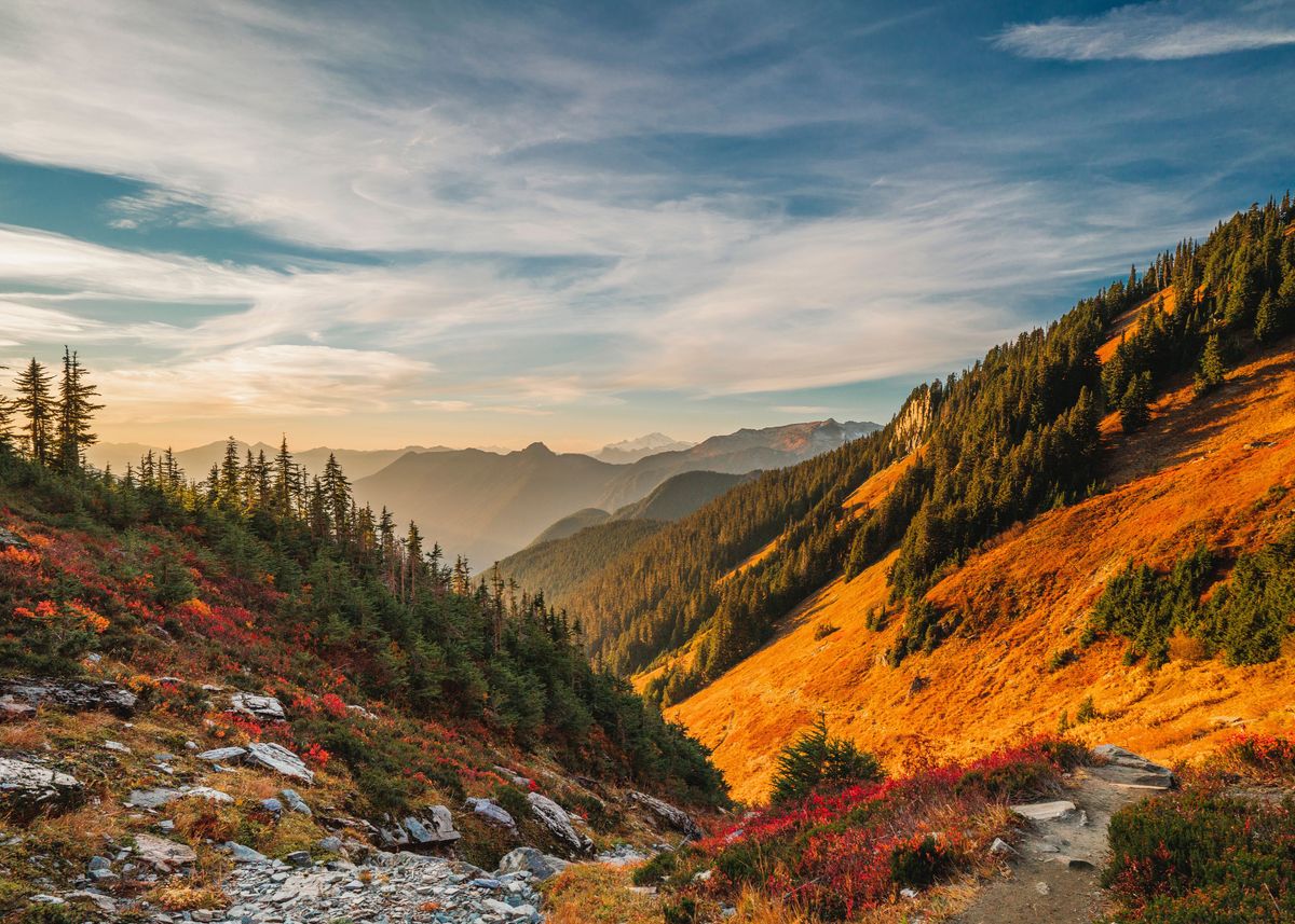 'Highlands' Poster by Conceptual Photography | Displate