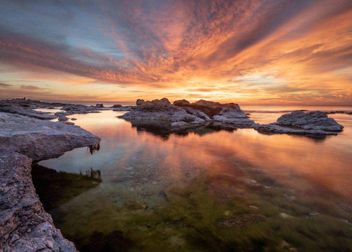 'Digerhuvud I' Poster, picture, metal print, paint by Jonas Stenberg ...