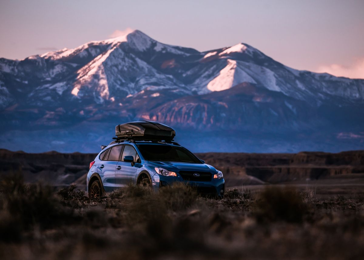 'Subaru' Poster, picture, metal print, paint by Indi Creator | Displate