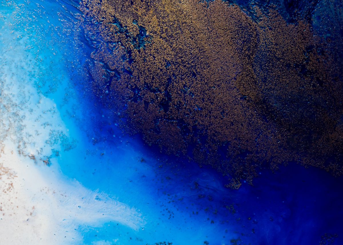 'The Big Blue' Poster, picture, metal print, paint by Petra Meikle de ...