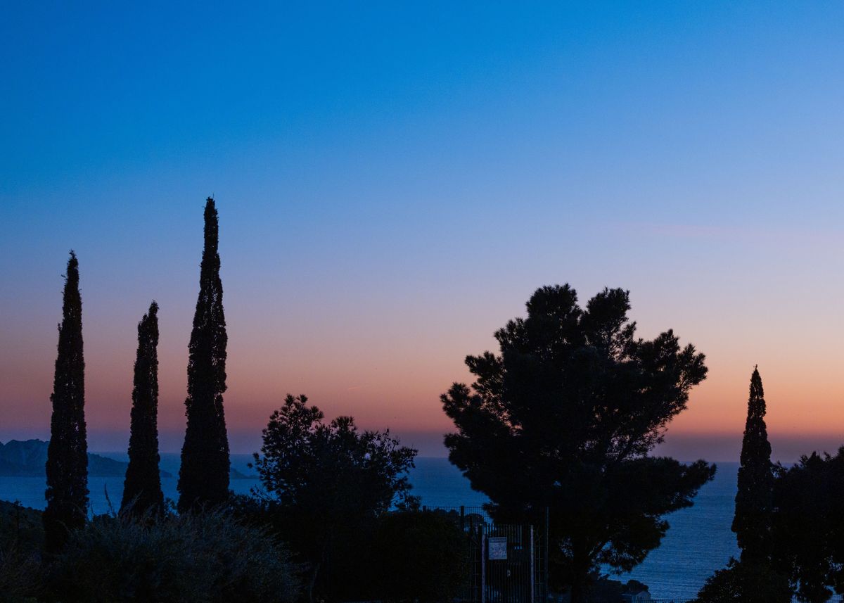 'Trees at Sunset' Poster by Moritz Hahn | Displate