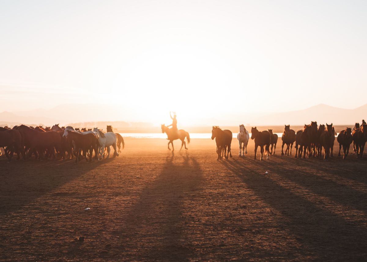 'lets go back' Poster, picture, metal print, paint by Travel Travel ...