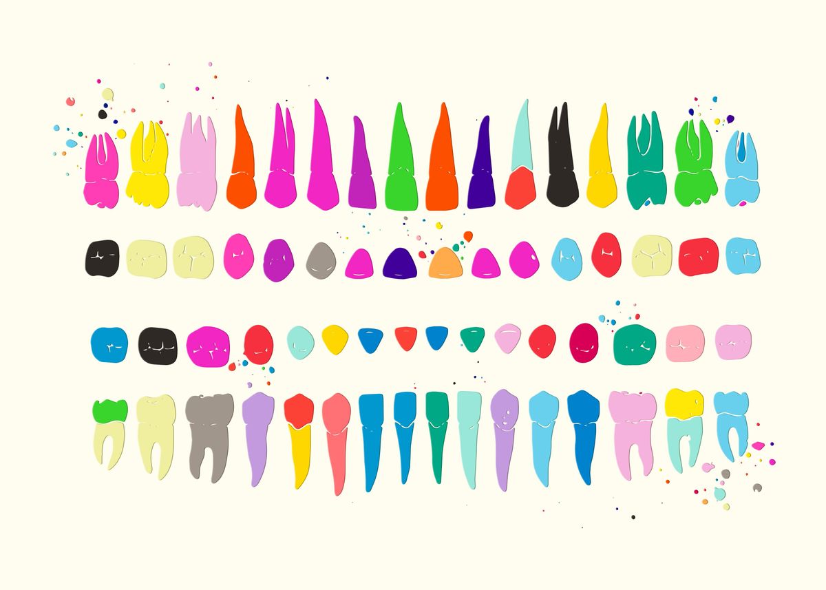 'Orthodontic Chart' Poster, picture, metal print, paint by Dutton ...