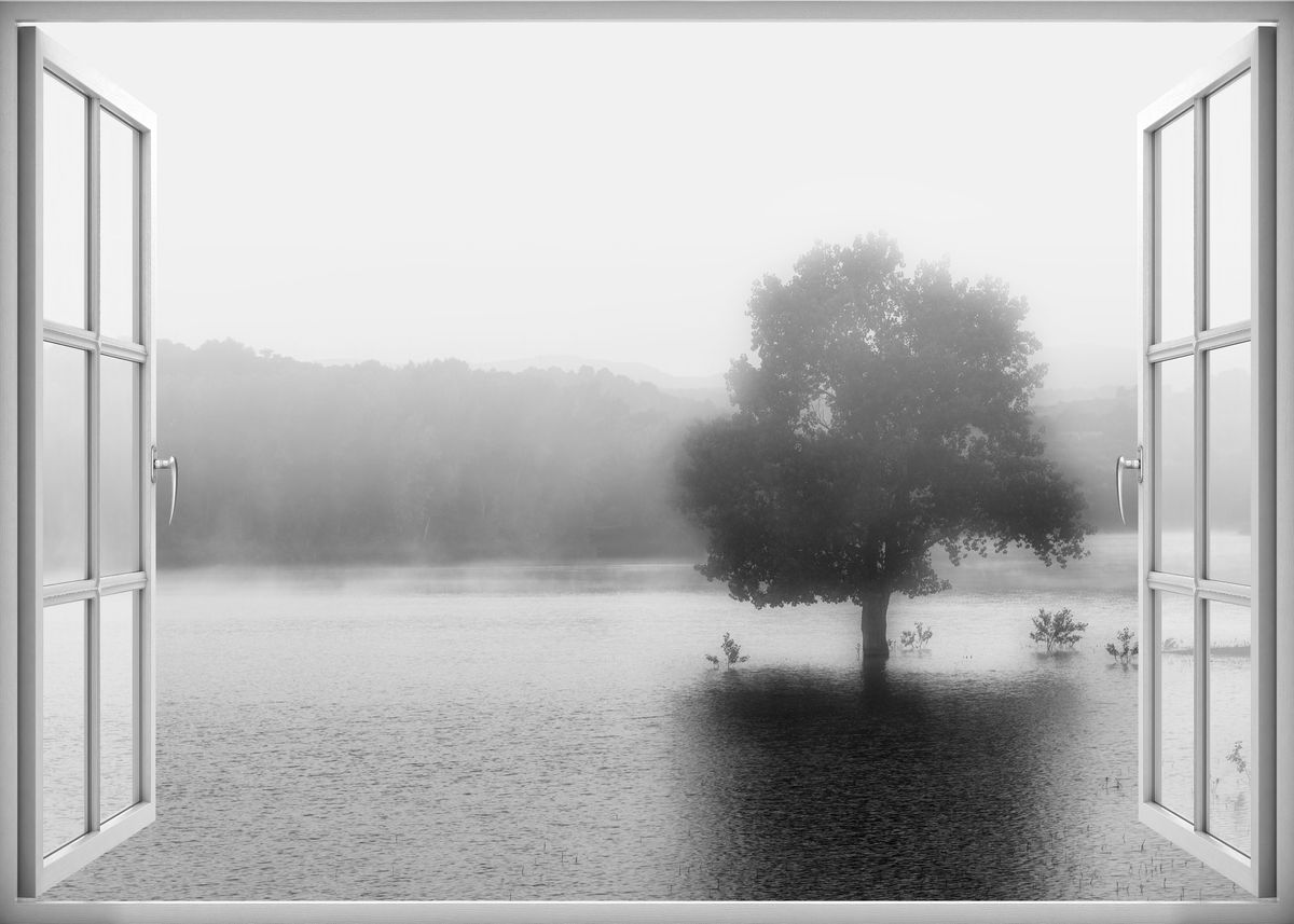 'Window view tree lake' Poster, picture, metal print, paint by Vicen ...