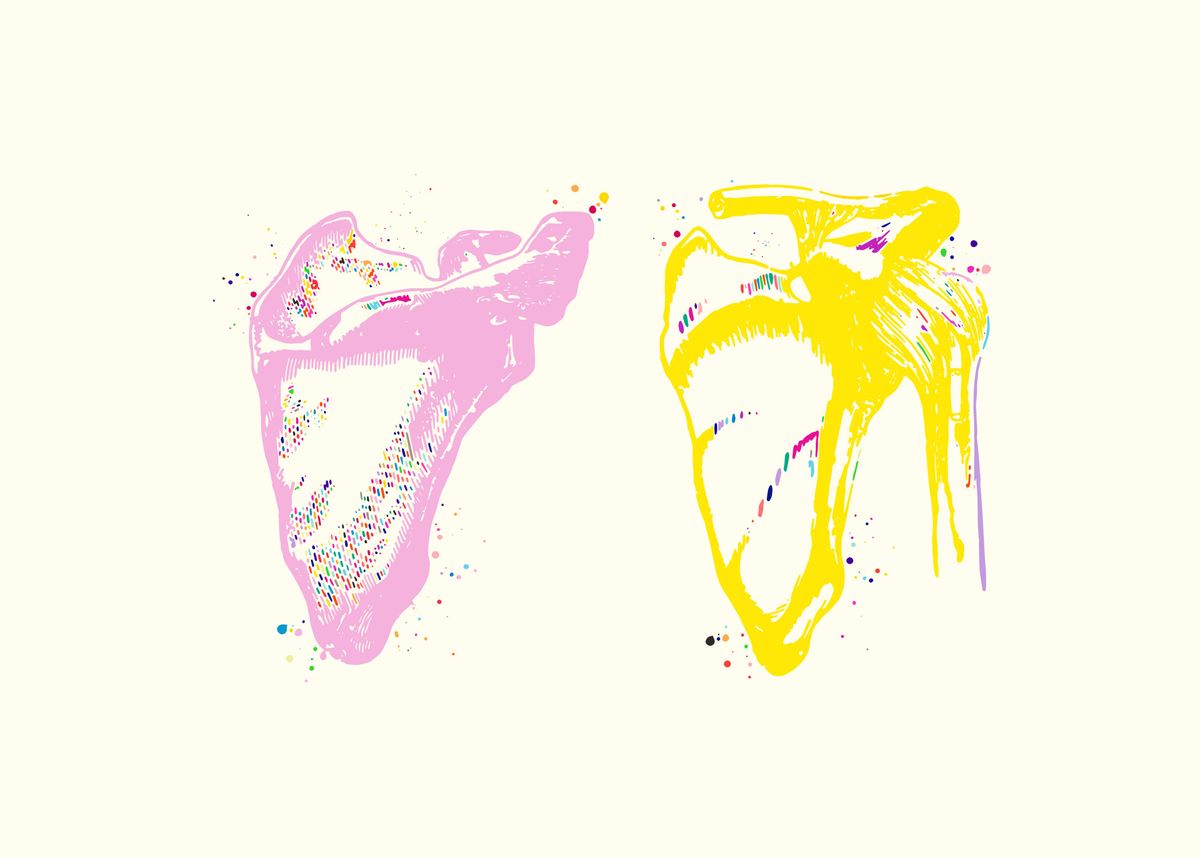 'Scapula Clavicle Shoulder ' Poster, picture, metal print, paint by ...