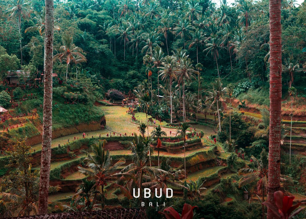 'Ubud ' Poster, picture, metal print, paint by Famous City | Displate