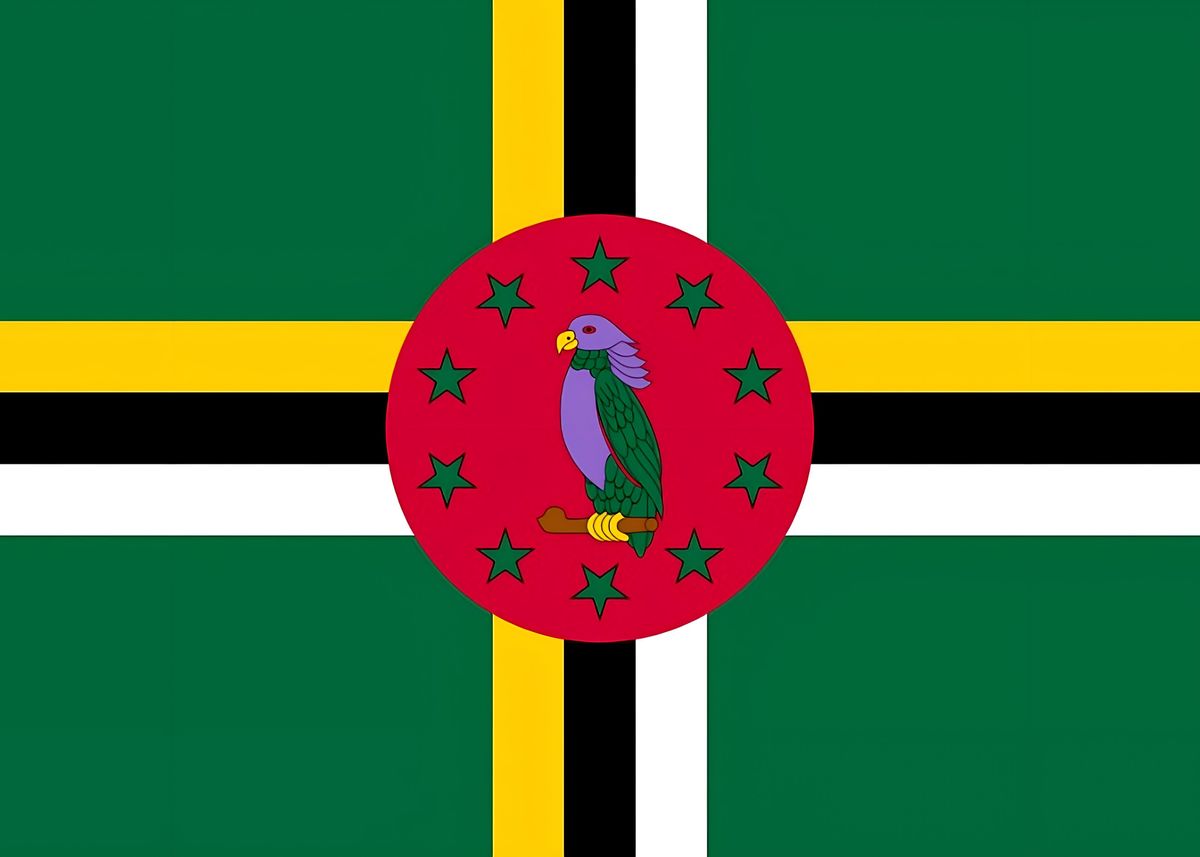 'Flag of Dominica' Poster, picture, metal print, paint by Sloka | Displate