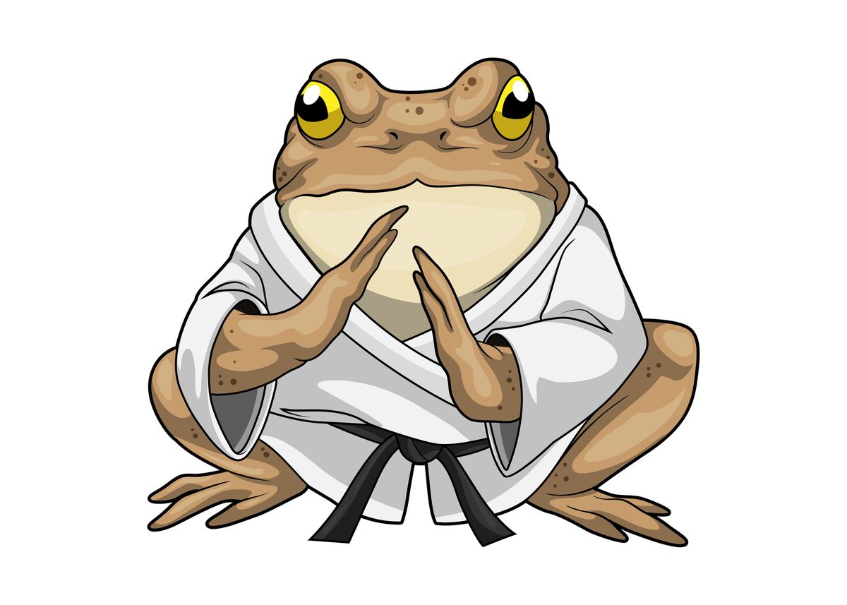 'Frog Karate Martial arts' Poster, picture, metal print, paint by ...